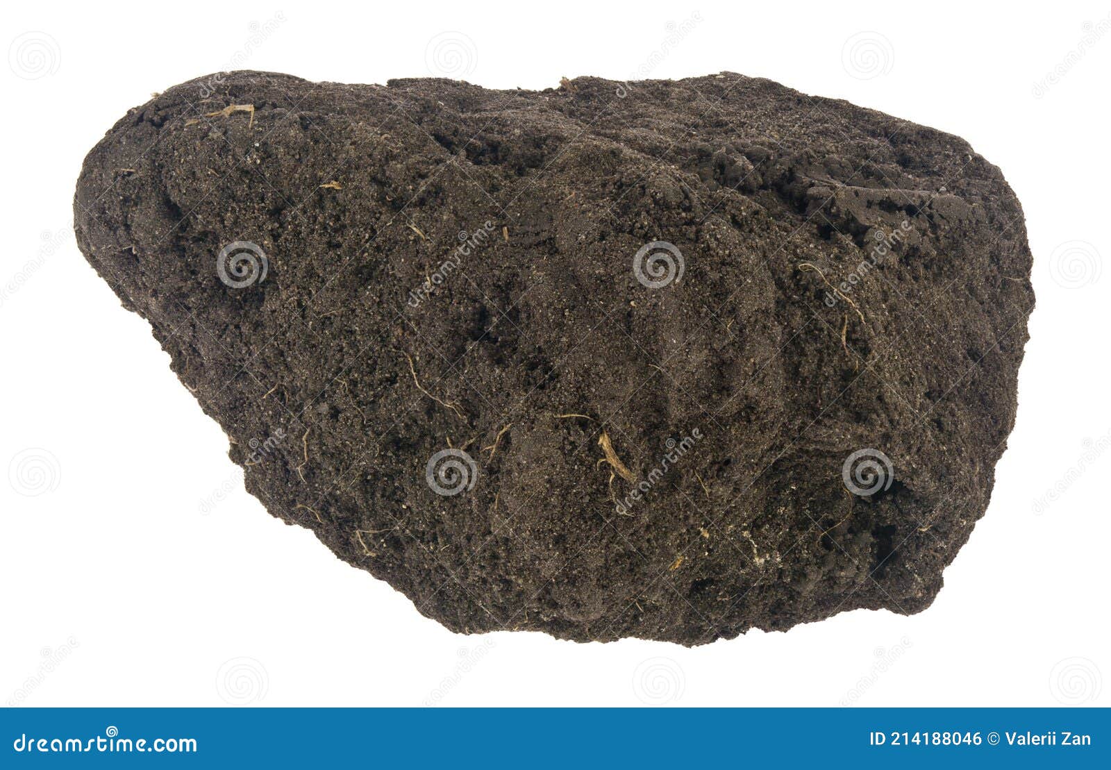 Clump of Soil, Soil Isolated on a White Background Close-up Stock Photo ...