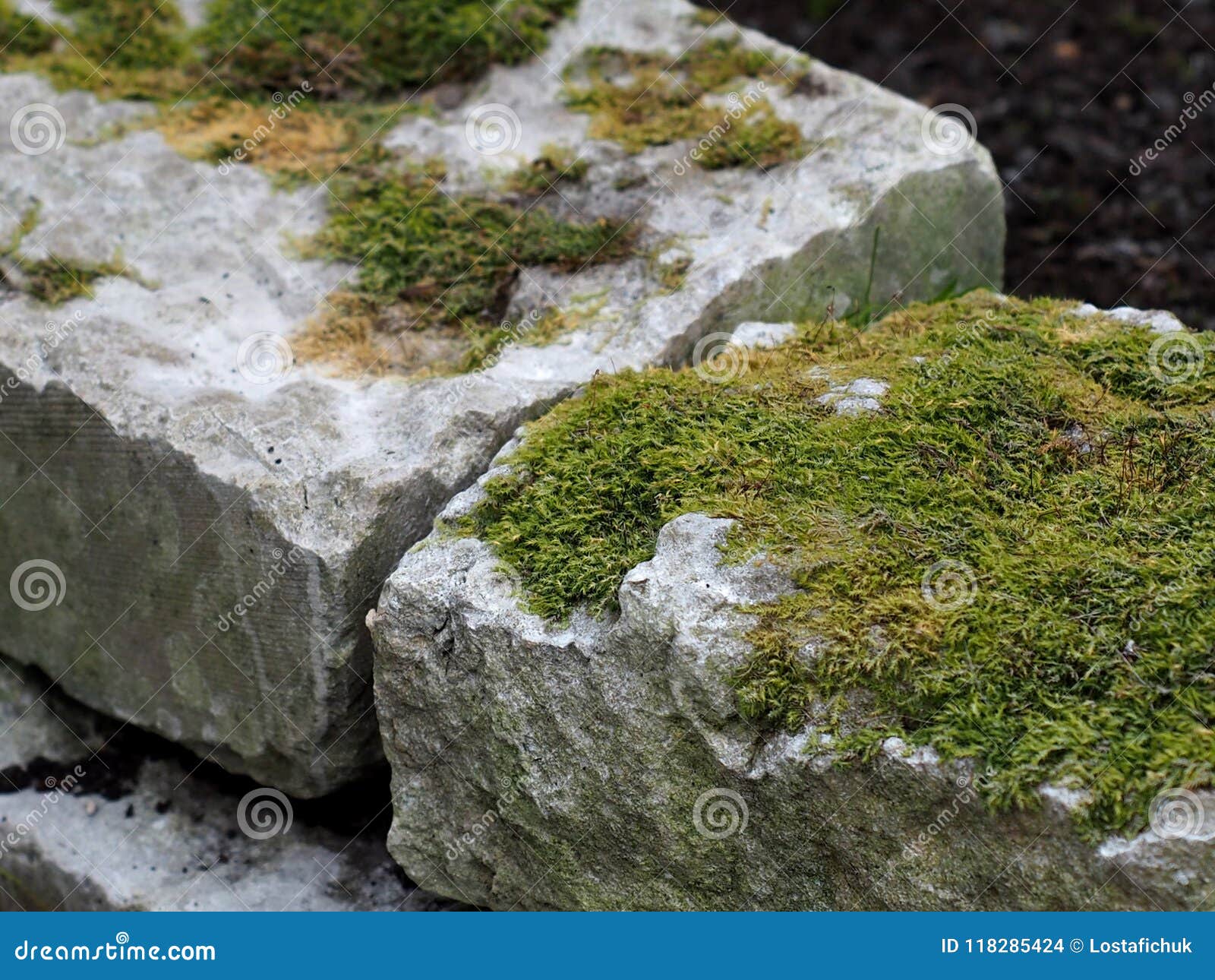 Moss Growing on Stone Bricks Stock Photo - Image of sphagnum, bryophyta ...