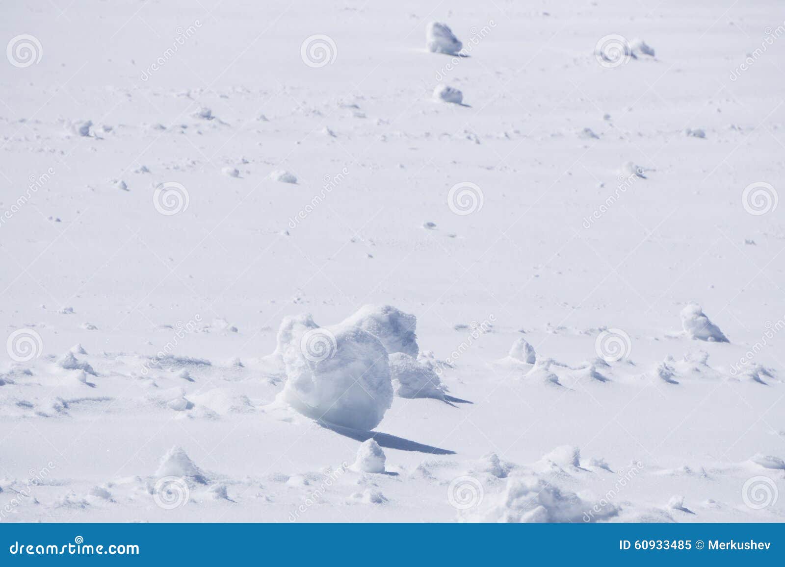 Clumps of snow, winter stock image. Image of frosty, detail - 60933485
