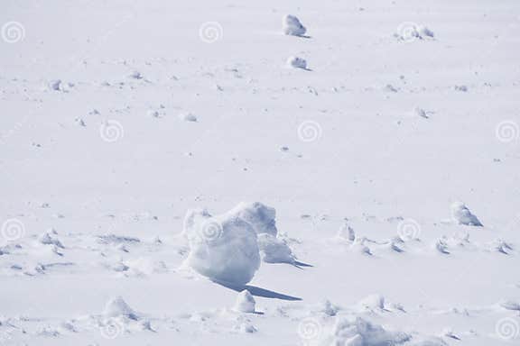Clumps of snow, winter stock image. Image of frosty, detail - 60933485