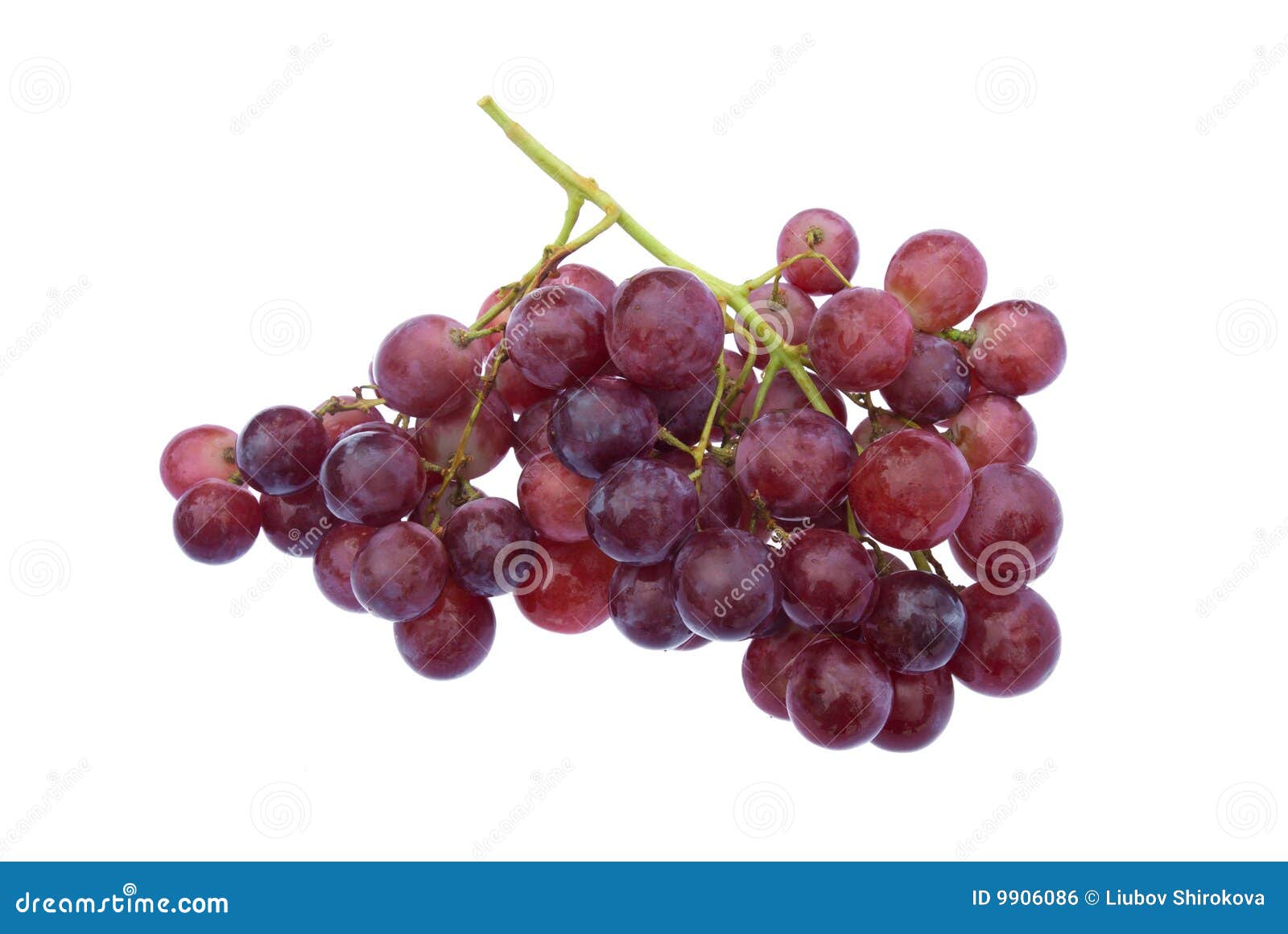 Cluste De La Uva Imagen. Imagen: 9906086