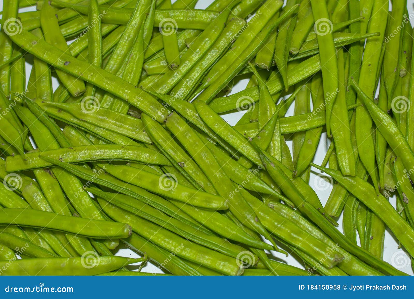 Cluster Beans Plants Royalty-Free Stock Photography | CartoonDealer.com ...