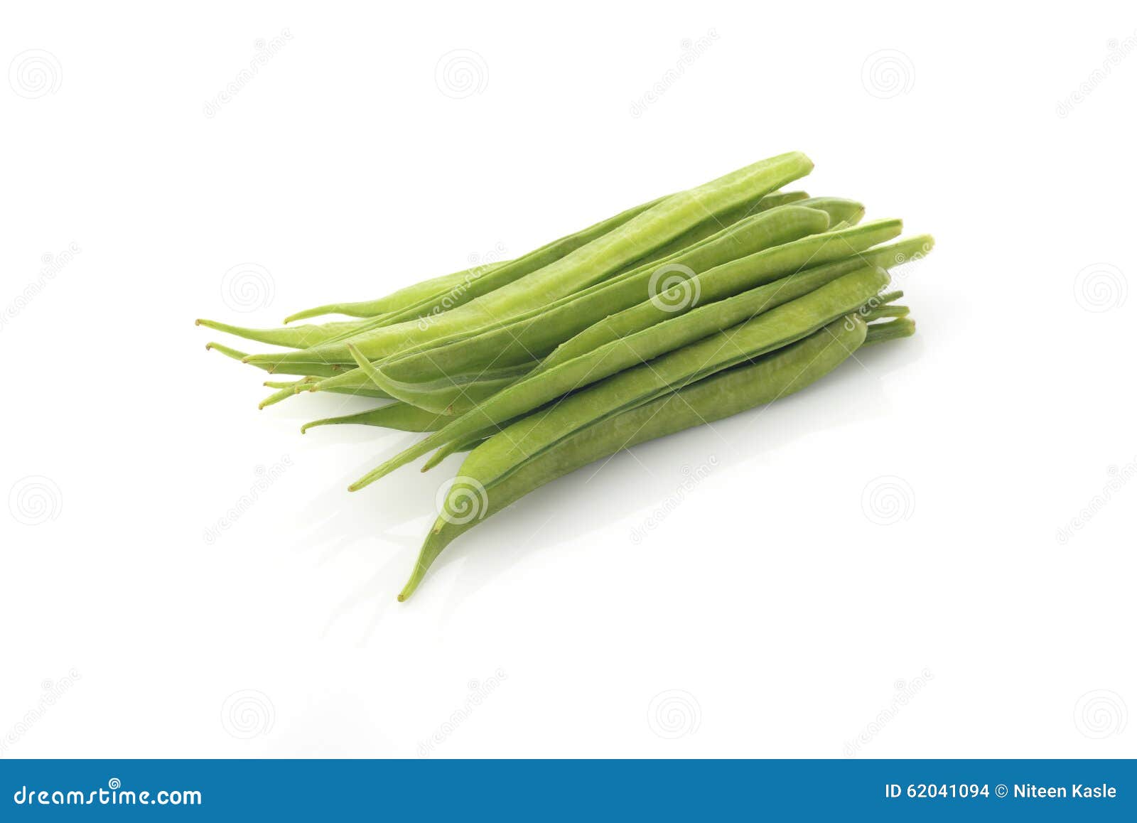 Cluster Beans Plants Royalty-Free Stock Photography | CartoonDealer.com ...