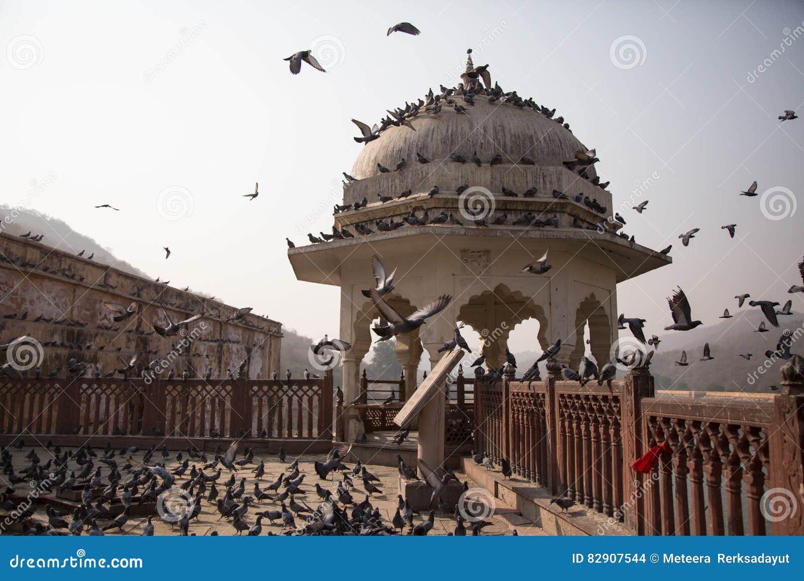 A Cluster of Birds in Front of Amber Fort Stock Photo - Image of ...