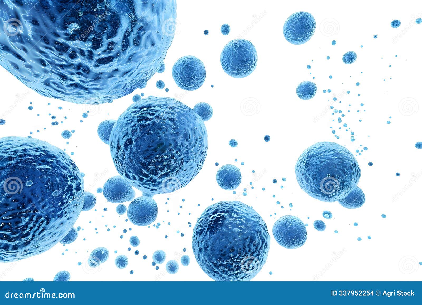 A Cluster of Translucent Blue Orbs Filled with Smaller Orbs Floats ...