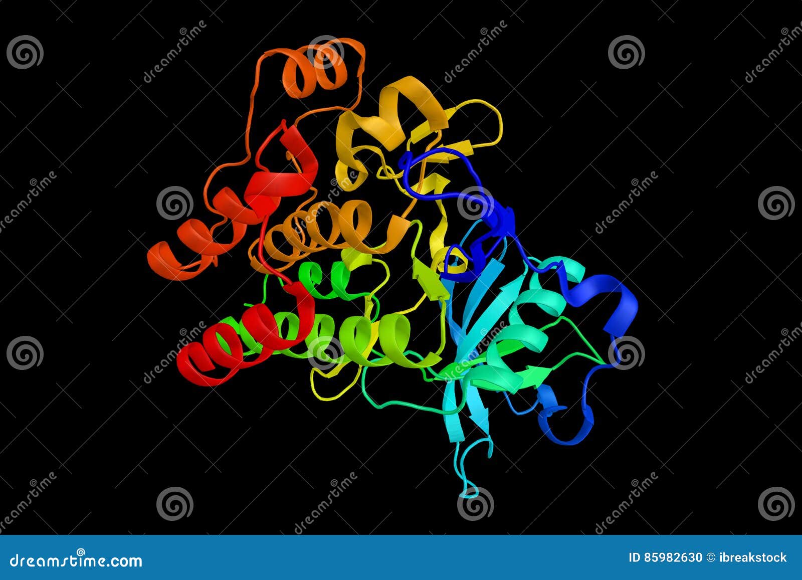Cluster of Differentiation Antigen 135, a Protein Expressed on Stock ...