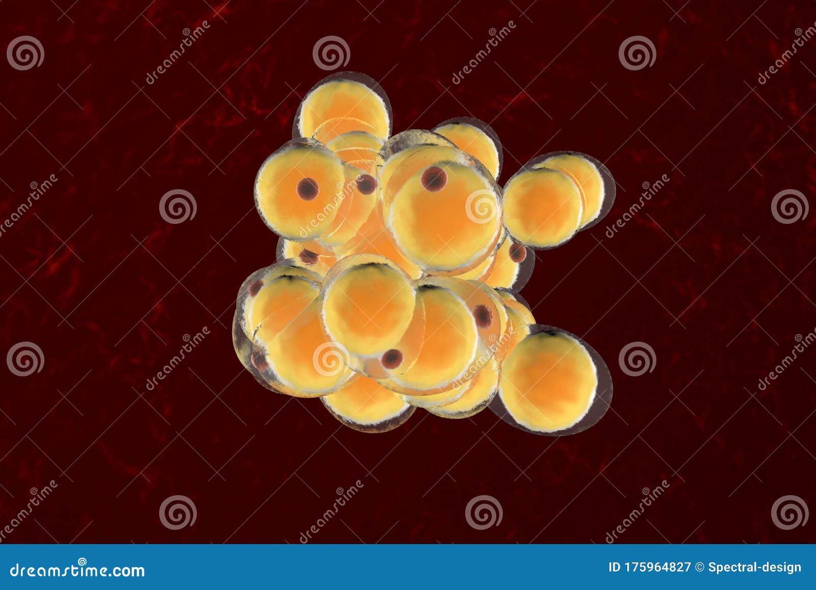 A cluster of Fat cells stock illustration. Illustration of healthcare ...
