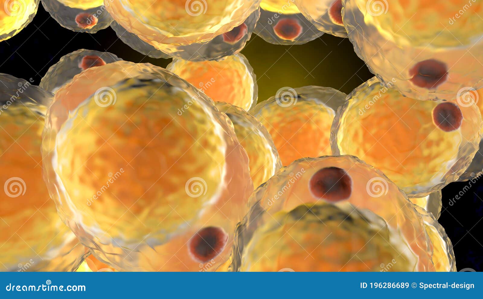 A cluster of Fat cells stock illustration. Illustration of adipose ...