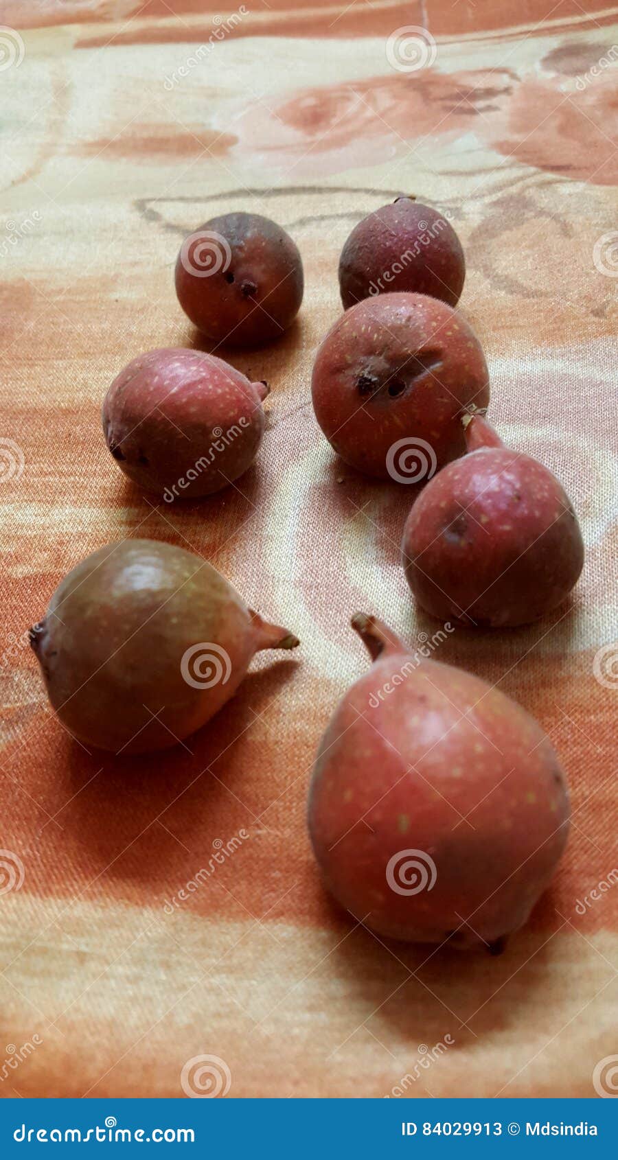 Cluster fig or Gular stock image. Image of group, natural - 84029913