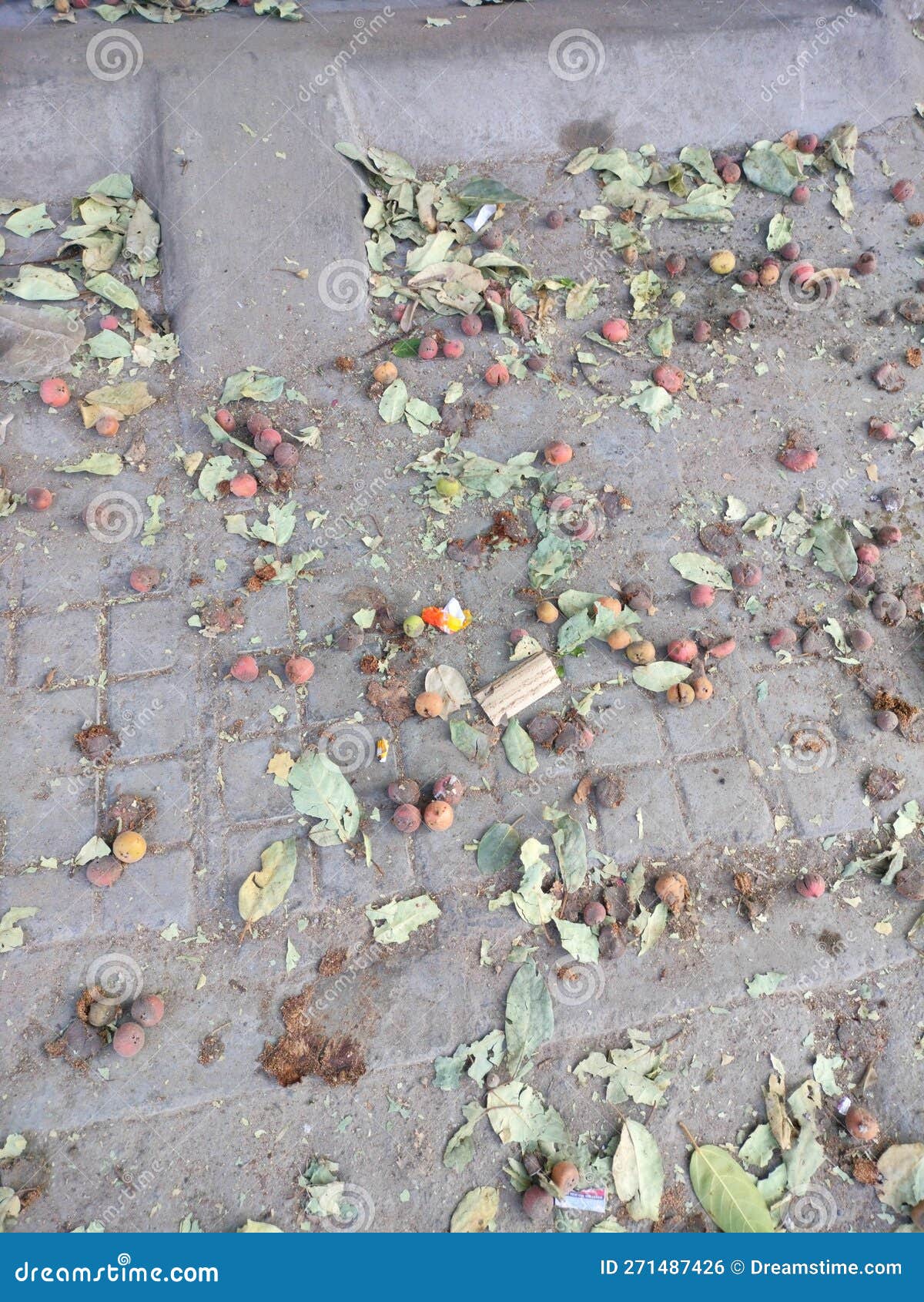 Cluster Of Road Signs Stock Photography | CartoonDealer.com #197099306