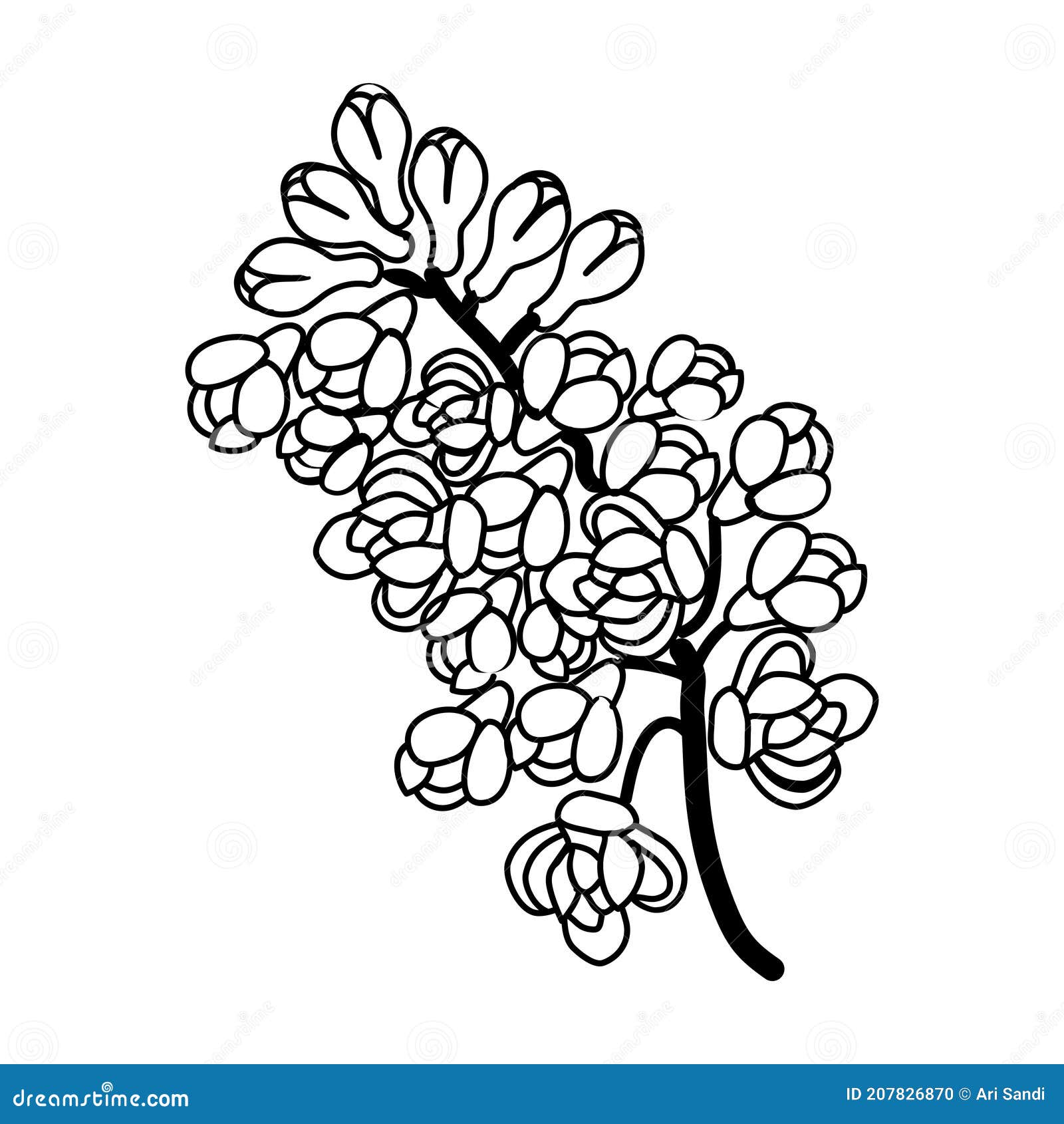 Cluster Floral Hand Drawn. Vector Design Illustration Sign Stock ...