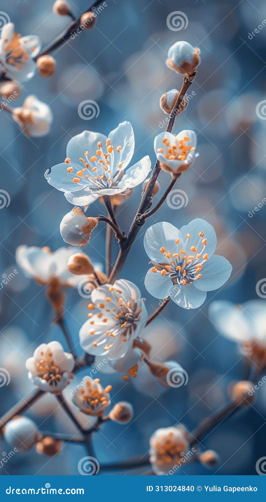 Cluster of Flowers Hanging from Branch Stock Photo - Image of delicate ...