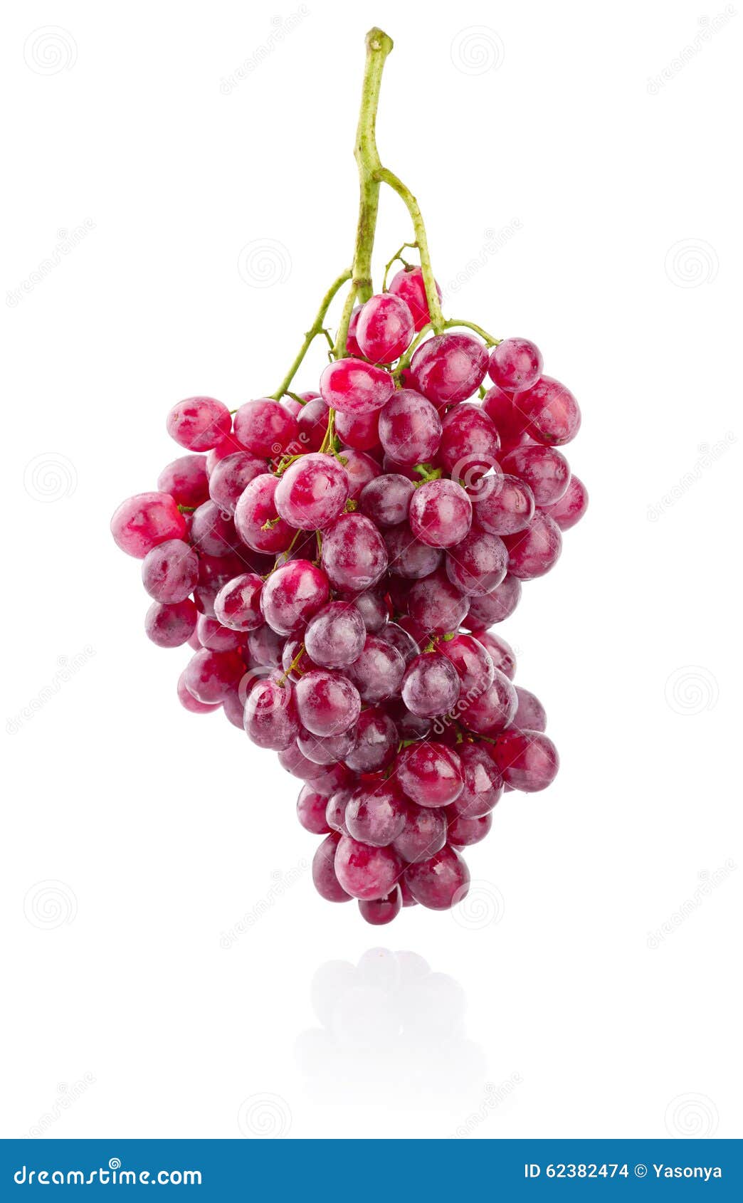 Cluster Fresh Grapes Ripe Fruit Stock Photo - Image of grapes ...