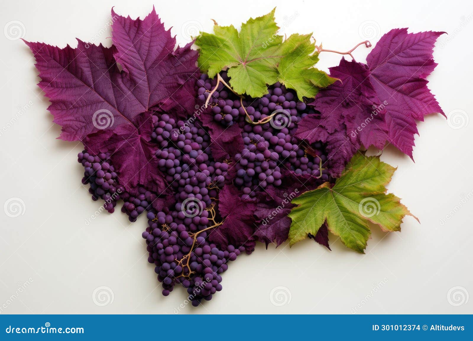 A Cluster of Grapes Forming a Natural Map of a Continent Stock Photo ...