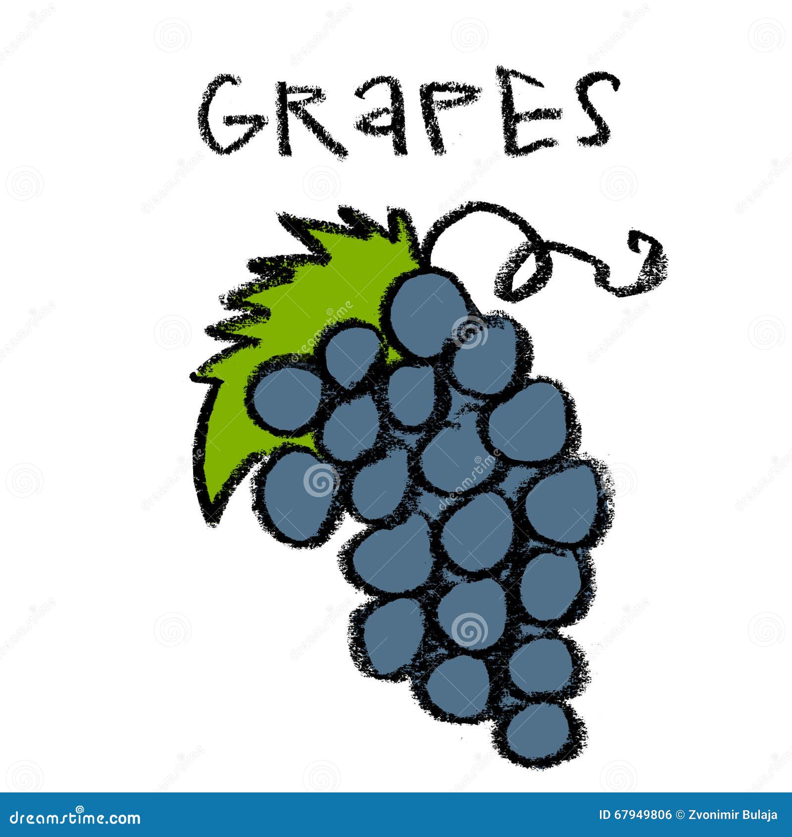 Cluster of grapes stock illustration. Illustration of food - 67949806