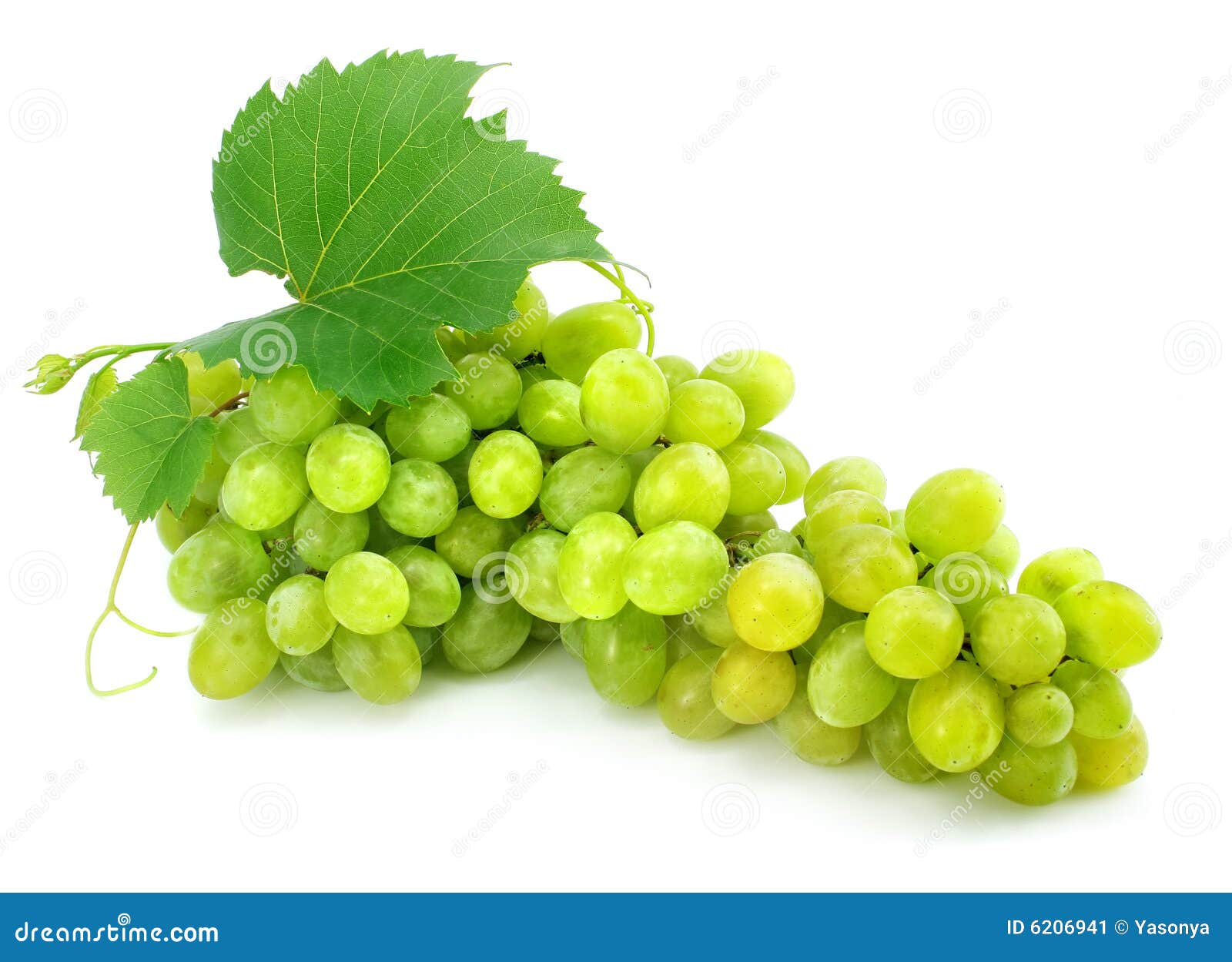 Green Grape Leaves, Texture, Background From Plants Stock Photo ...