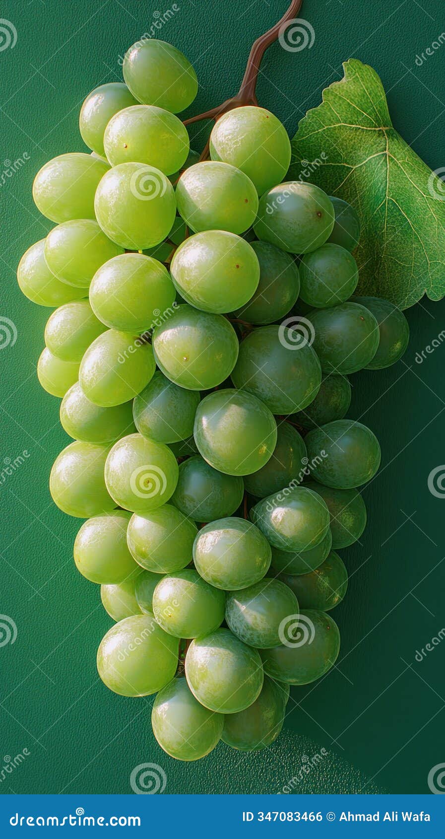A Cluster of Green Grapes on a Vine Leaf Against a Solid Background ...