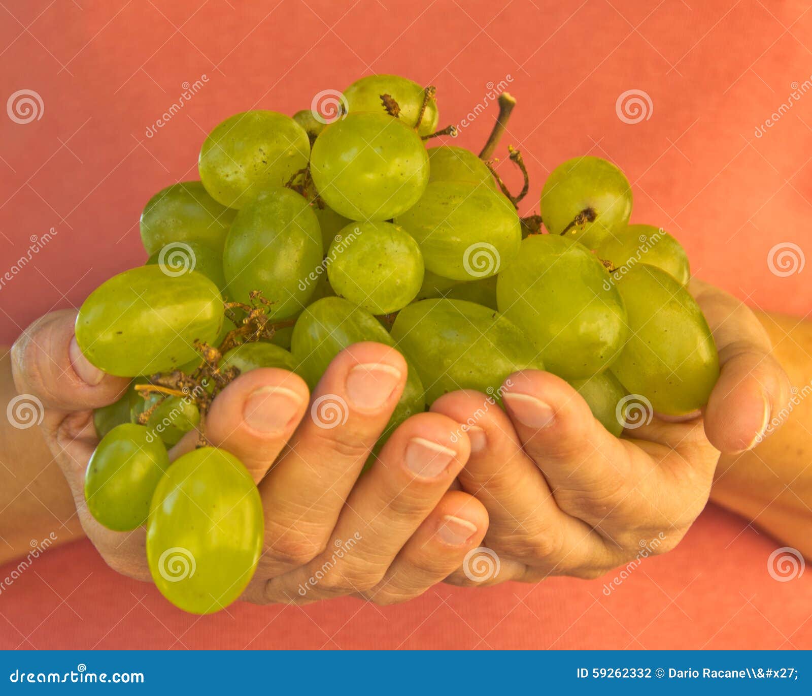 Cluster in hand stock photo. Image of healthy, green - 59262332