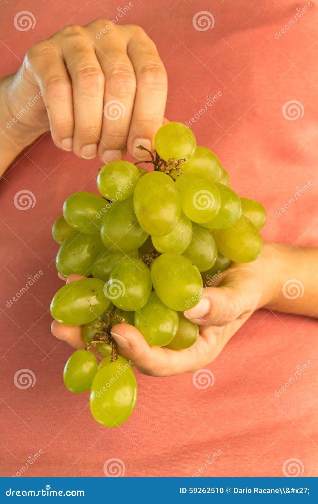 Cluster in hand stock photo. Image of juice, hand, cluster - 59262510