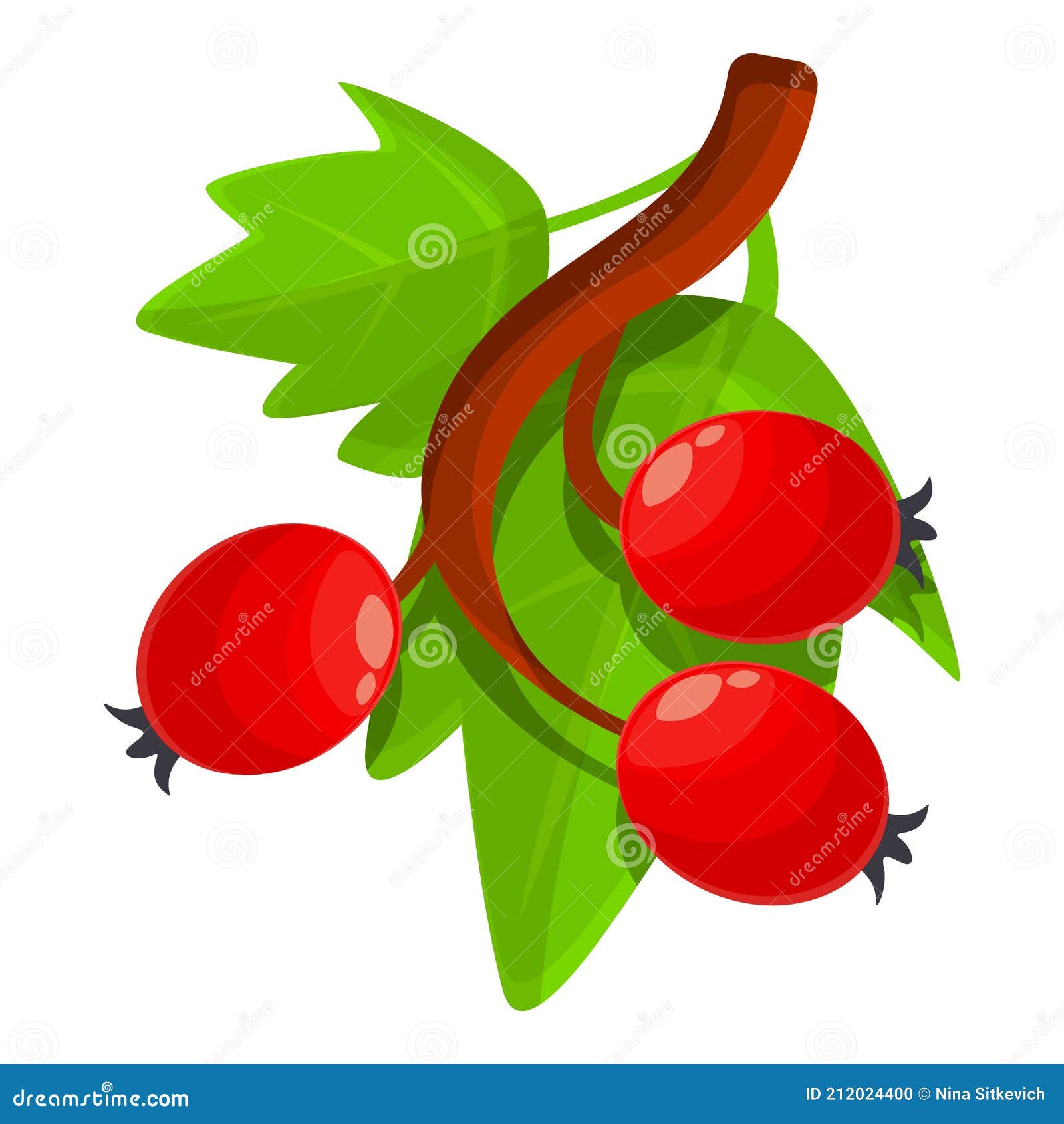 Cluster Hawthorn Icon, Cartoon Style Stock Vector - Illustration of ...