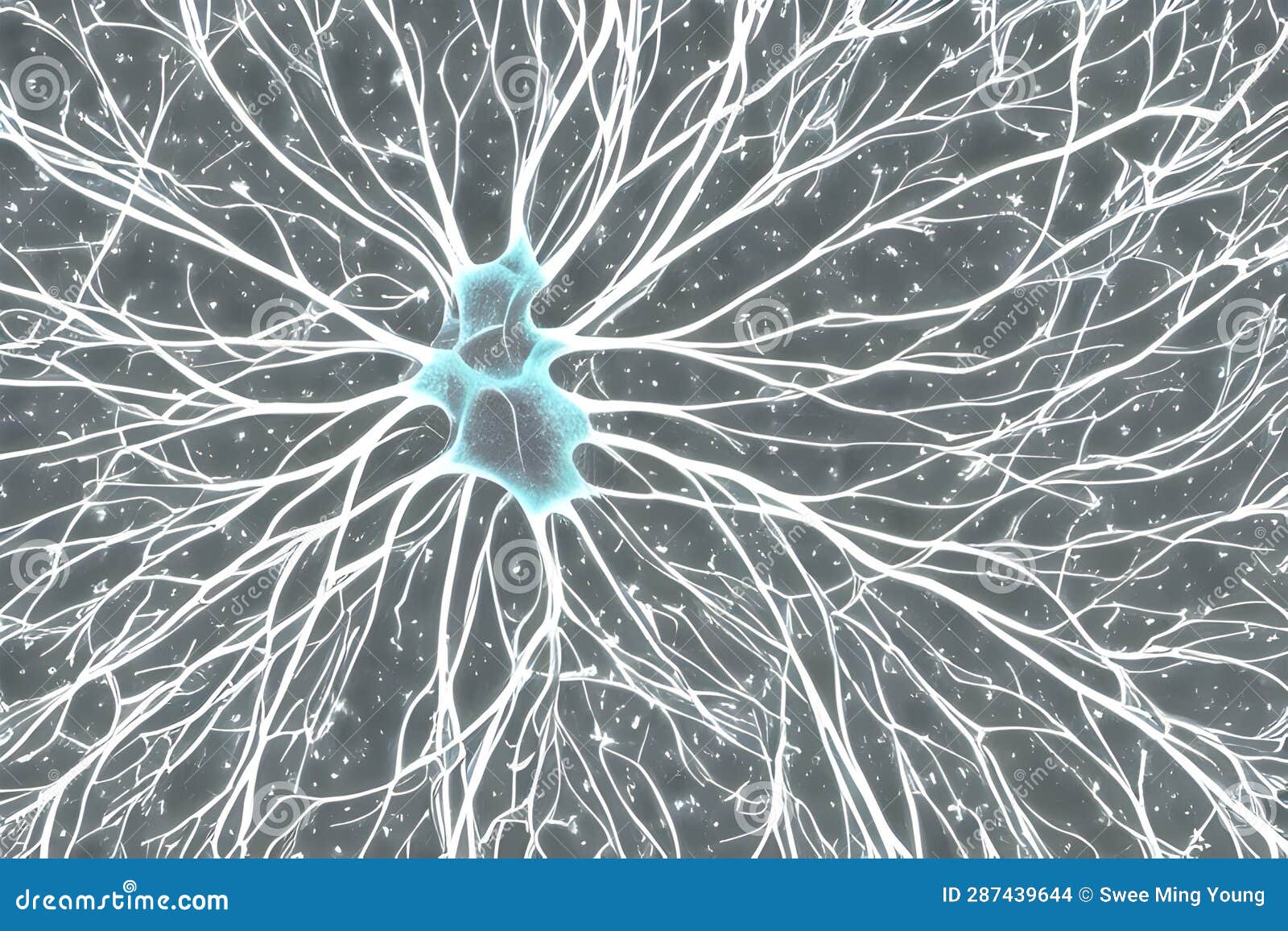 A Cluster of Neuron Floats and Branches Out with Axons and Dendrites of ...