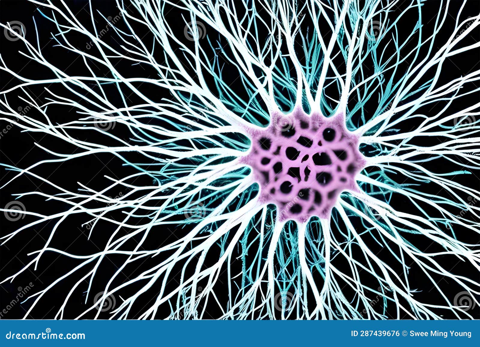 A Cluster of Neuron Floats and Branches Out with Axons and Dendrites of ...