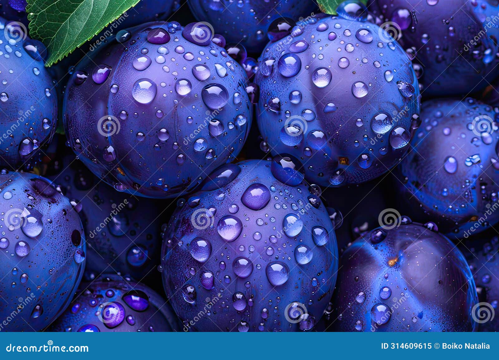 A Cluster of Plums, a Fruit and Natural Food, Rest on the Table Stock ...