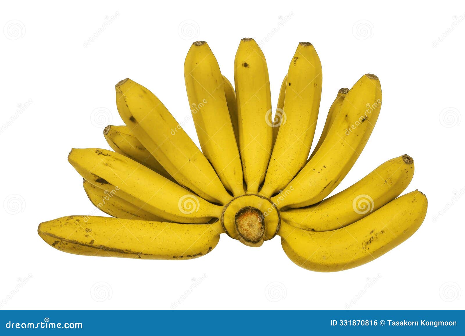 Cluster of Real Yellow Ripe Banana Isolated on White Stock Photo ...