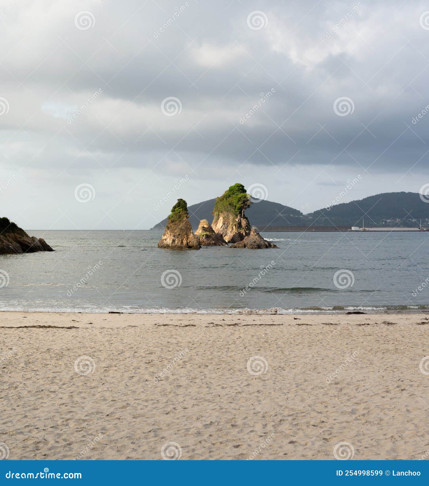 A Cluster of Rocks at the Bottom of the Sea. Rocks with Trees on Top ...