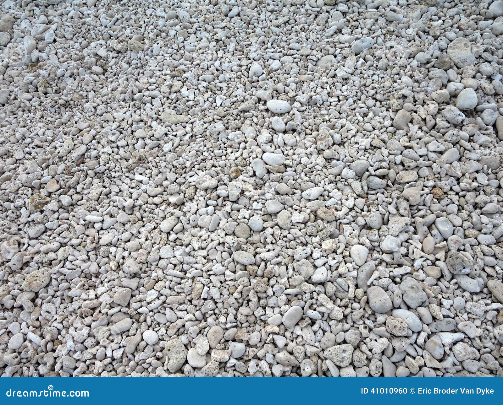 Cluster of Small White Coral Rocks Stock Photo - Image of coast, detail ...