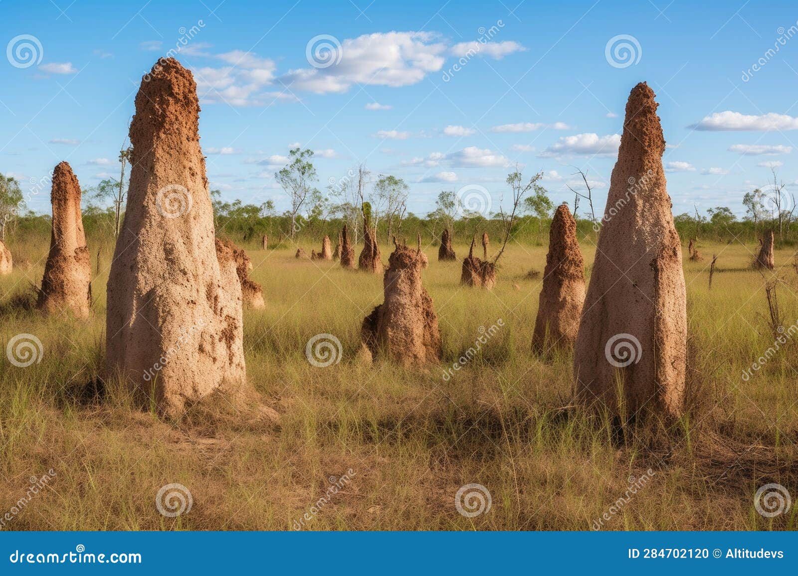 Termite Mounds Ventilation Holes In Various Shapes Stock Photography ...