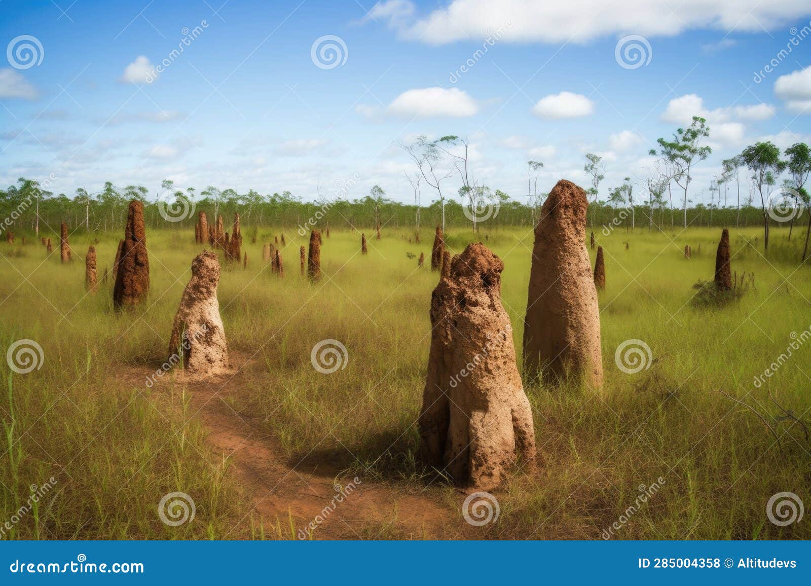 Cluster of Termite Mounds of Varying Sizes Stock Illustration ...