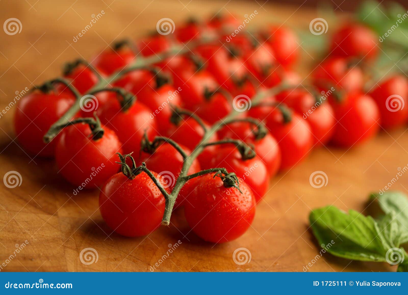 Cluster a tomato stock image. Image of color, foods, round - 1725111