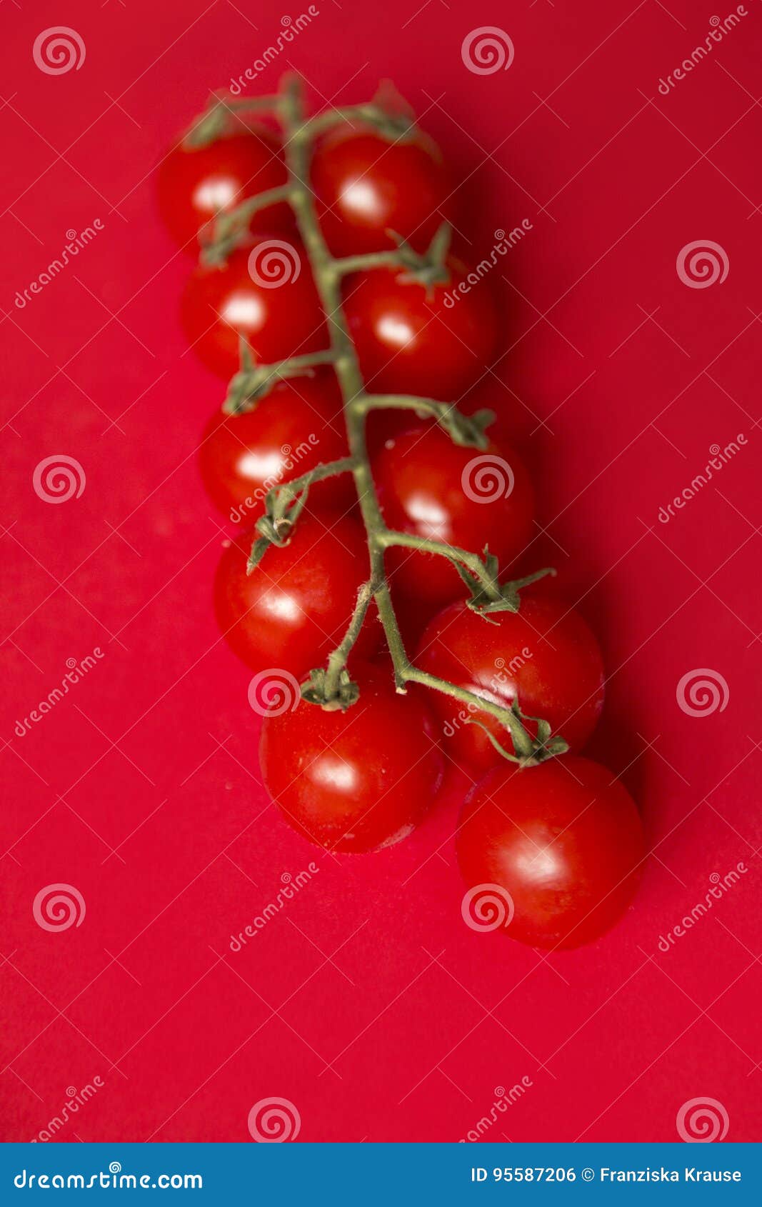 Cluster tomato on red stock photo. Image of vegetables - 95587206
