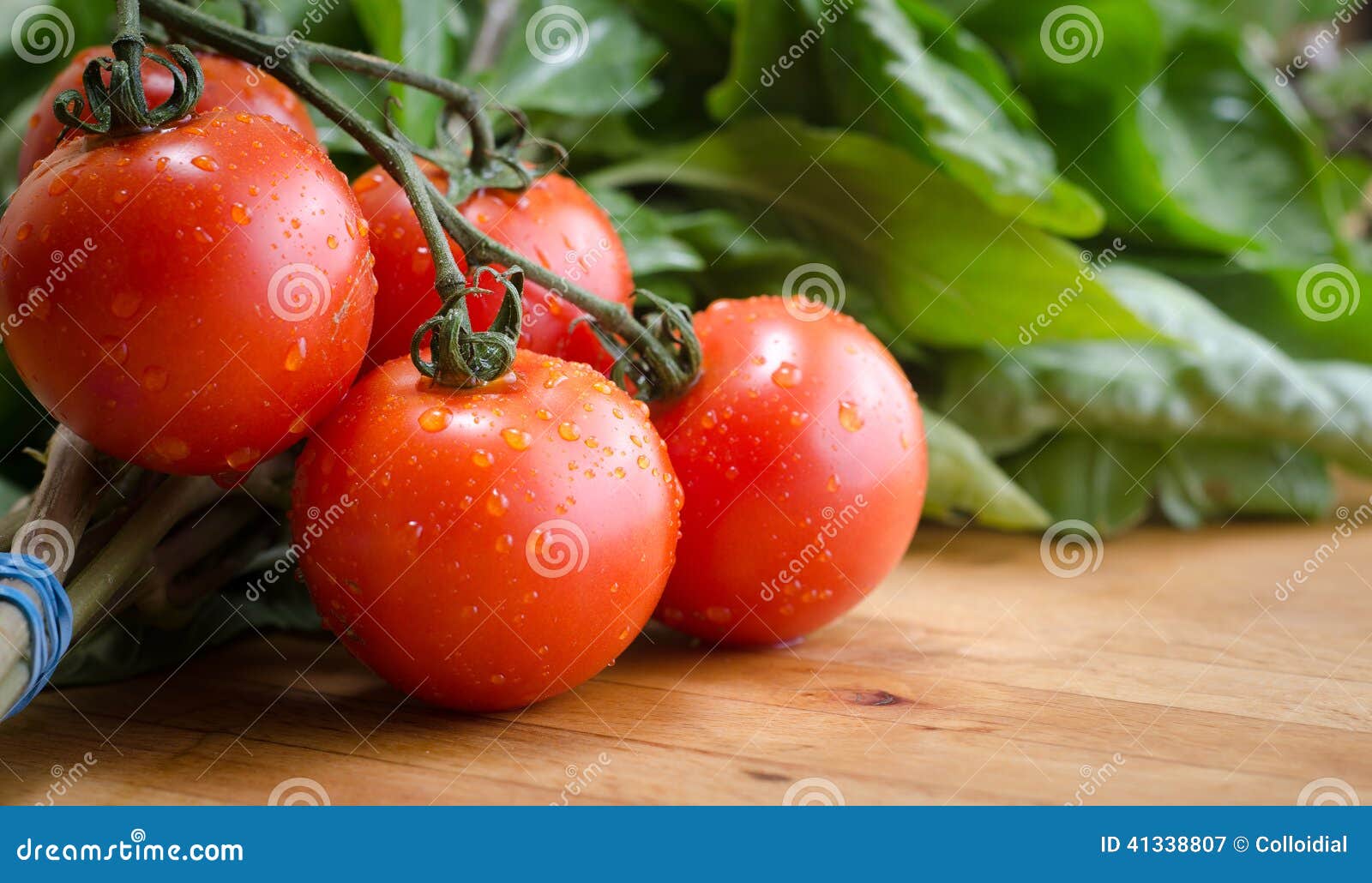 Cluster Tomato S and Fresh Basil Stock Image - Image of vegetables ...