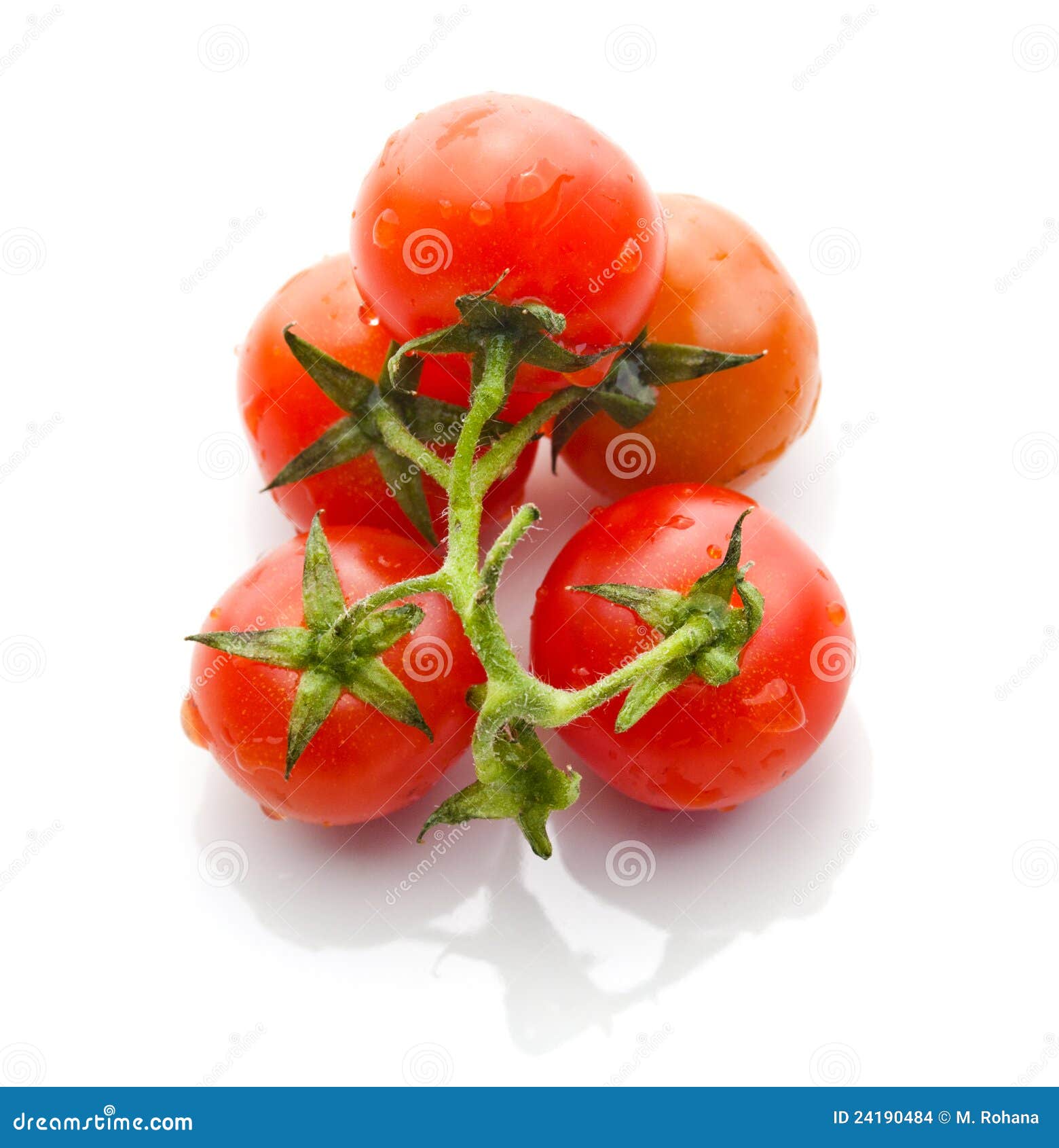 Cluster tomatoes stock photo. Image of vegetable, cluster - 24190484