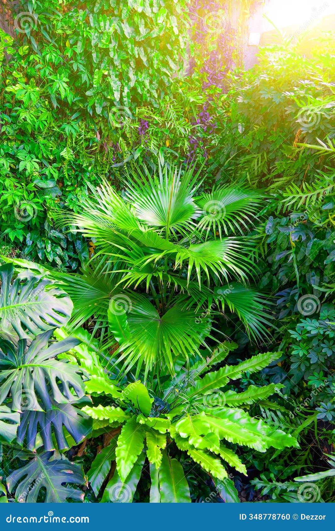 Cluster of Various Tropical Plants, Green Leaves Layout. Nature Spring ...