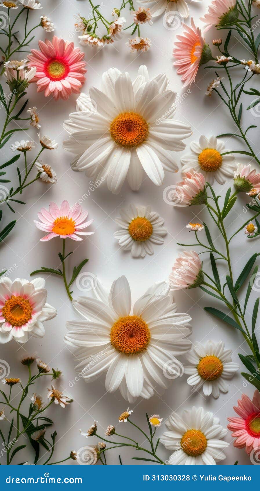 Cluster of White Flowers on White Background Stock Photo - Image of ...