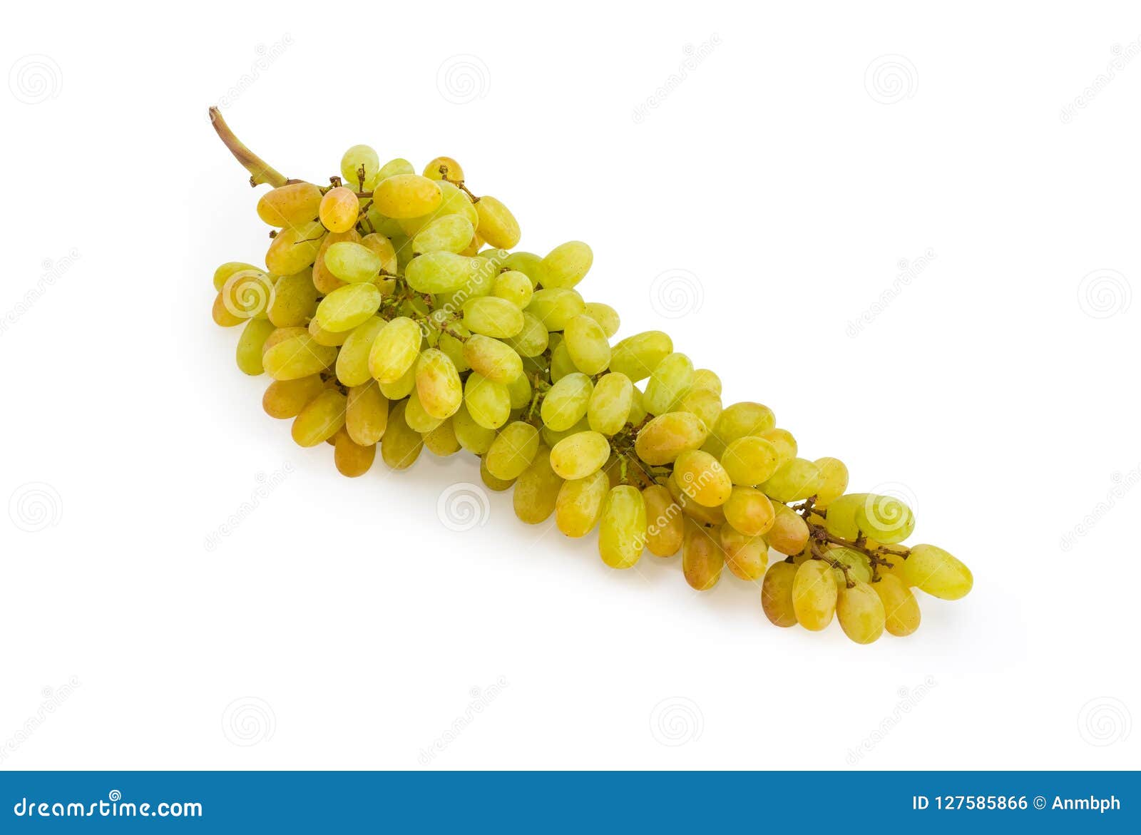 Cluster of the White Sultana Grapes on a White Background Stock Photo ...