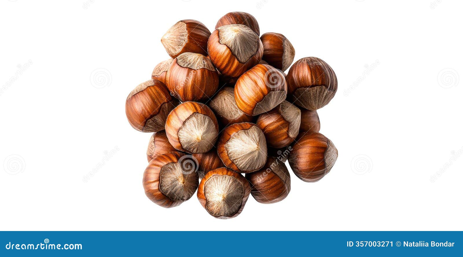 Cluster of Whole Hazelnuts Isolated on Transparent Background Stock ...