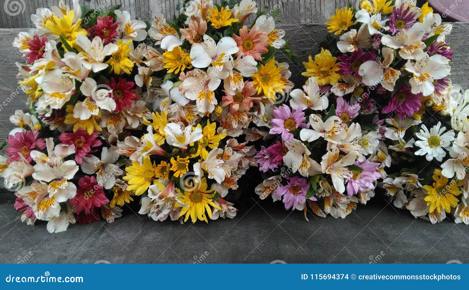 Clustered Flowers Picture. Image: 115694374