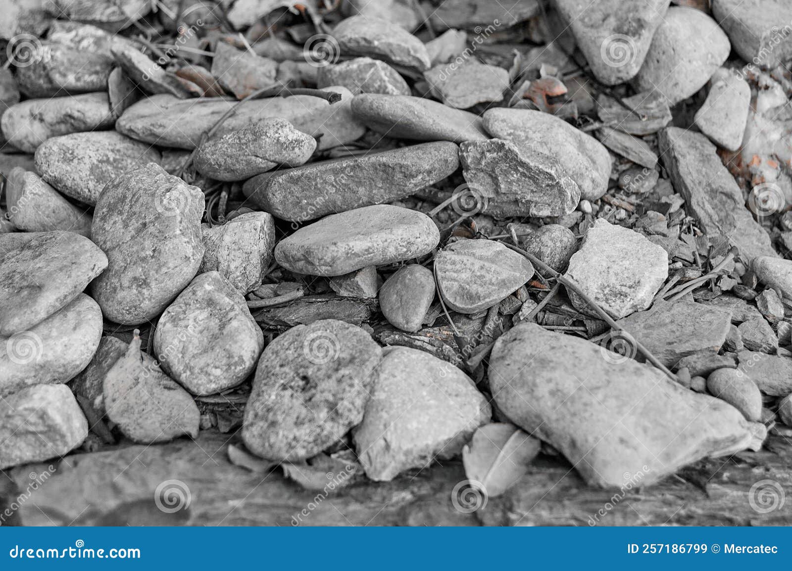 Clustered Rocks Together with Some Small Branches Stock Image - Image ...