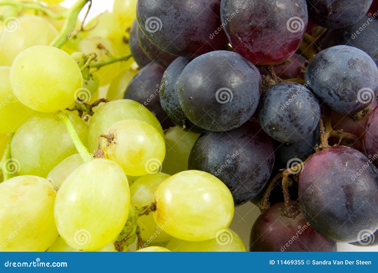 Clusters of Grapes in Closeup Stock Image - Image of background, blue ...