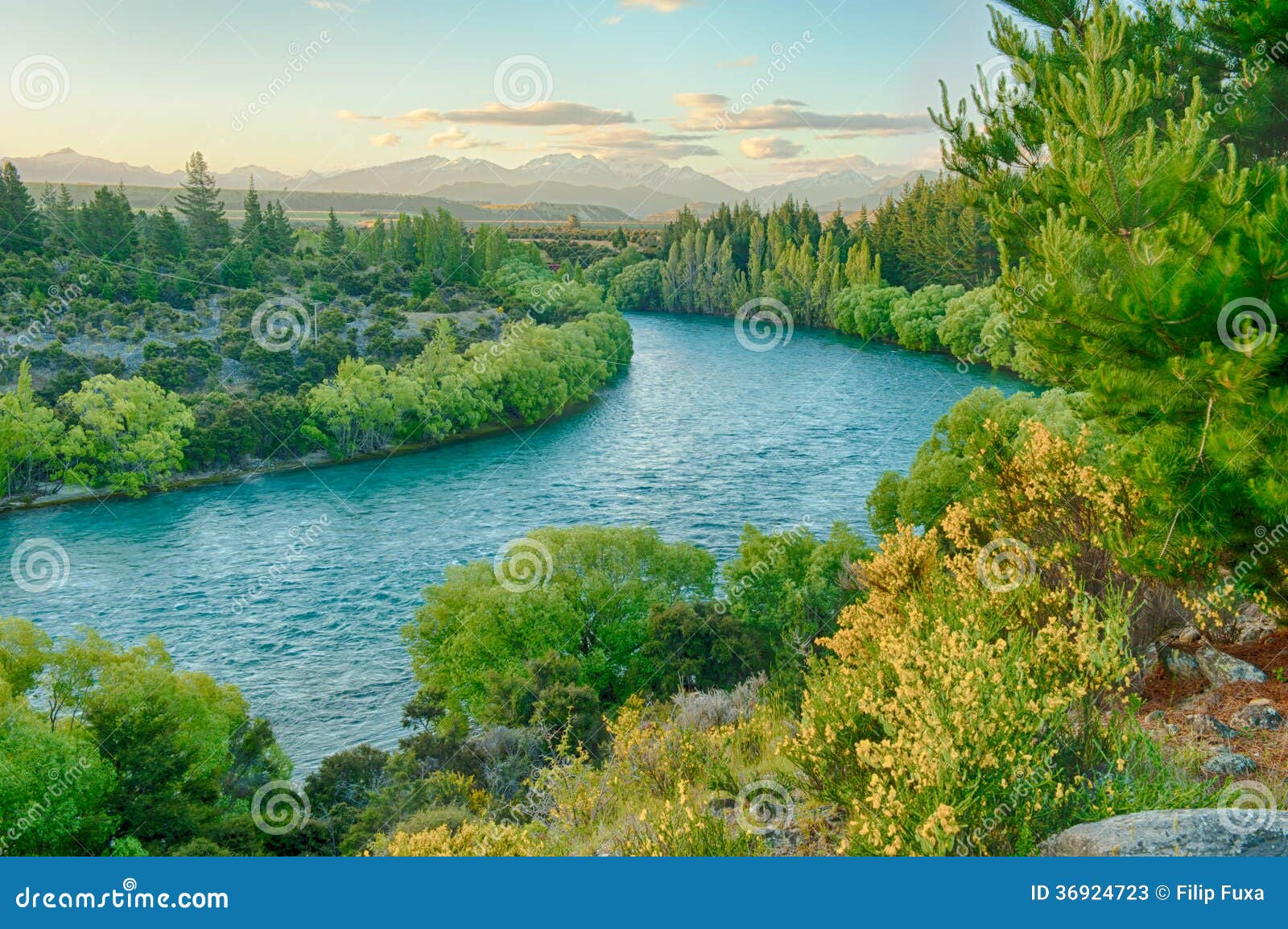 Clutha river stock image. Image of forest, natural, blue - 36924723