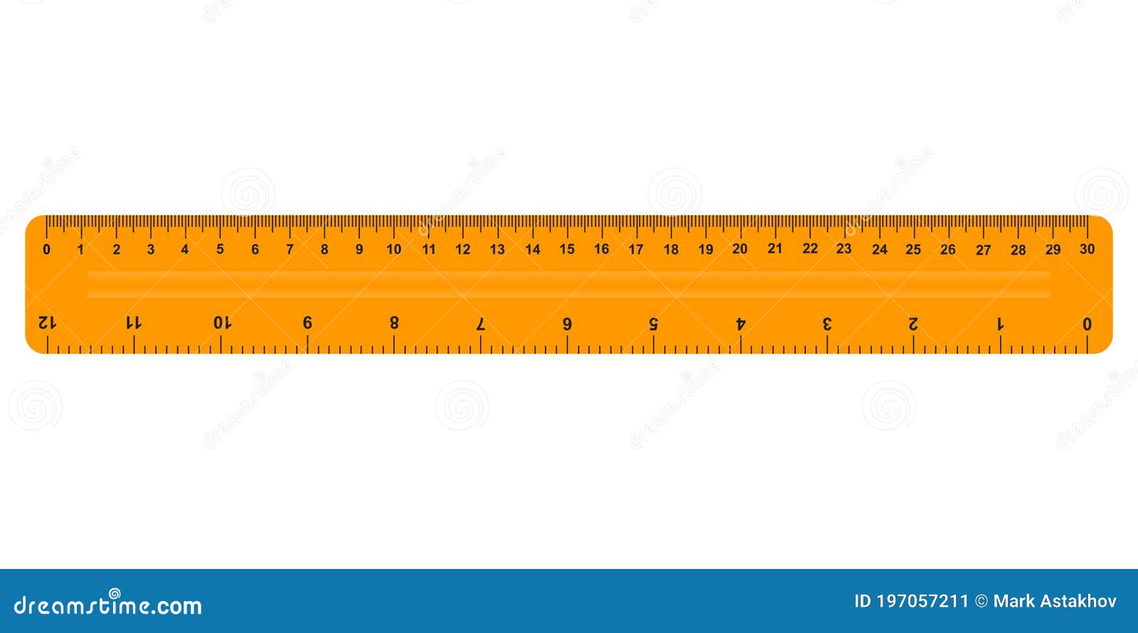 30cm Measure Tape Ruler in Flat, Vector Scholl Ruler Stock Vector ...