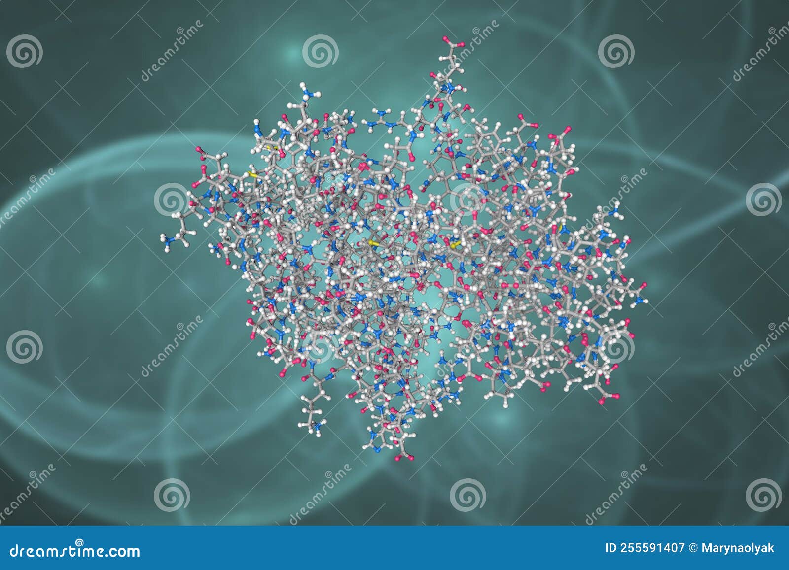 CMP Kinase of Streptococcus Pneumoniae. Atoms are Shown As Spheres with ...