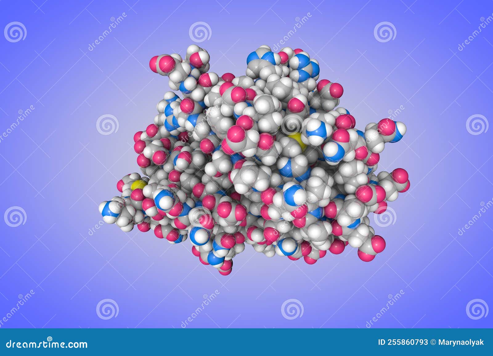 CMP Kinase of Streptococcus Pneumoniae. Molecular Model Stock ...