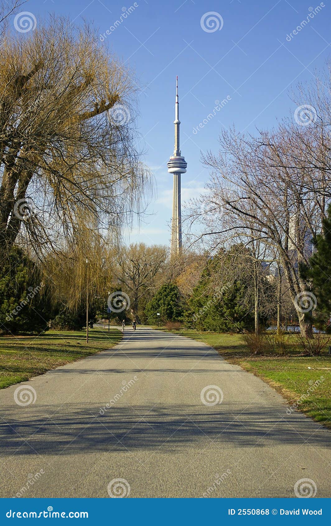 CN Tower from Park Path editorial stock photo. Image of urban - 2550868
