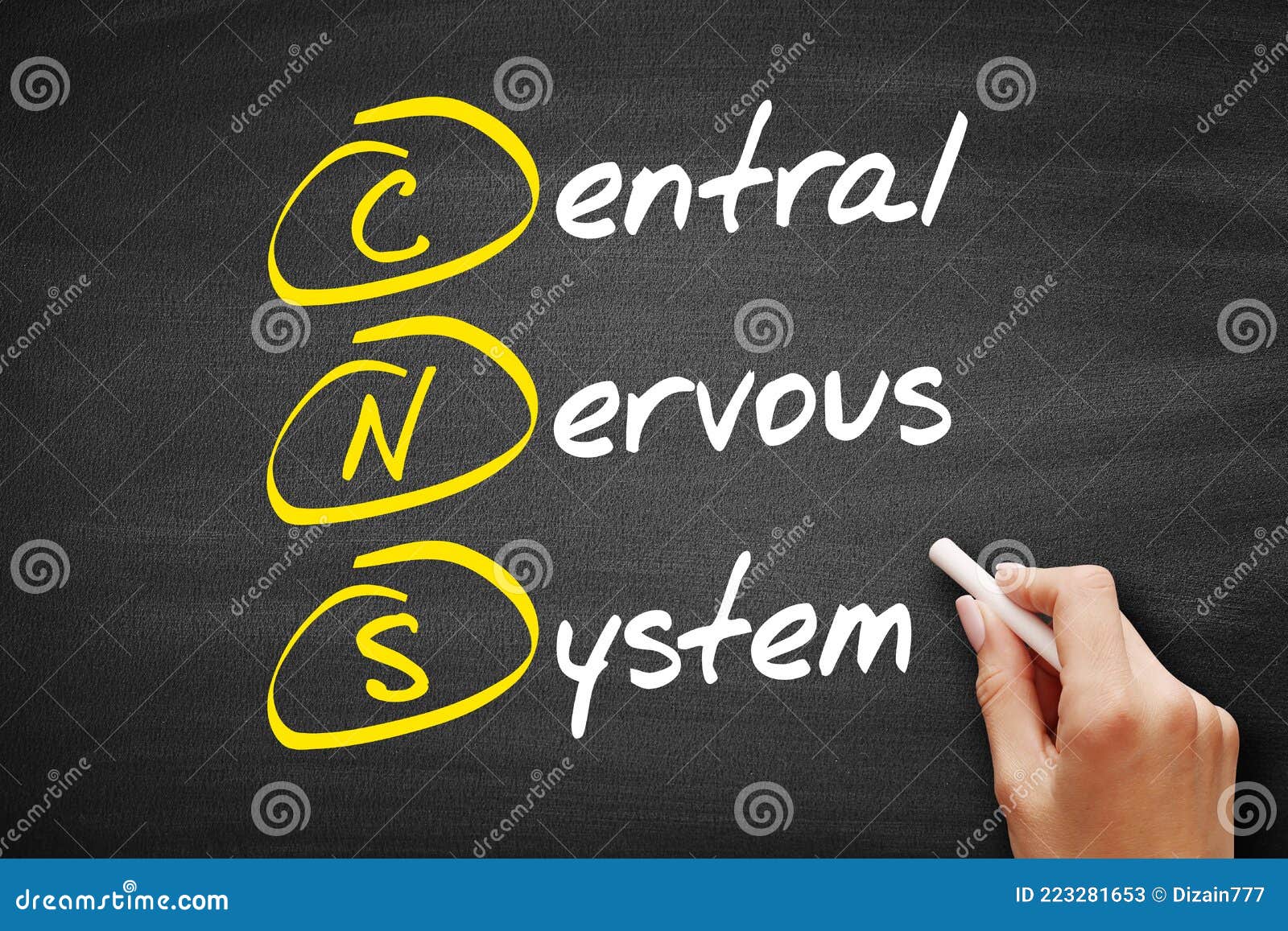 Central Nervous System, Doctor Working On Holographic Interface, Motion ...