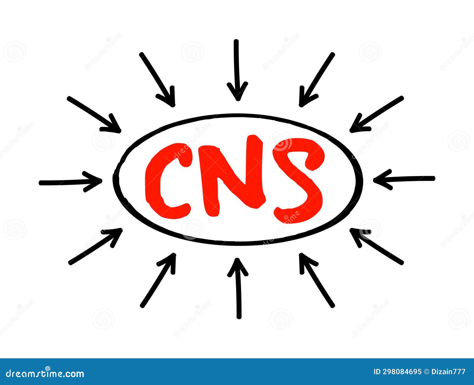 CNS - Central Nervous System is the Part of the Nervous System ...